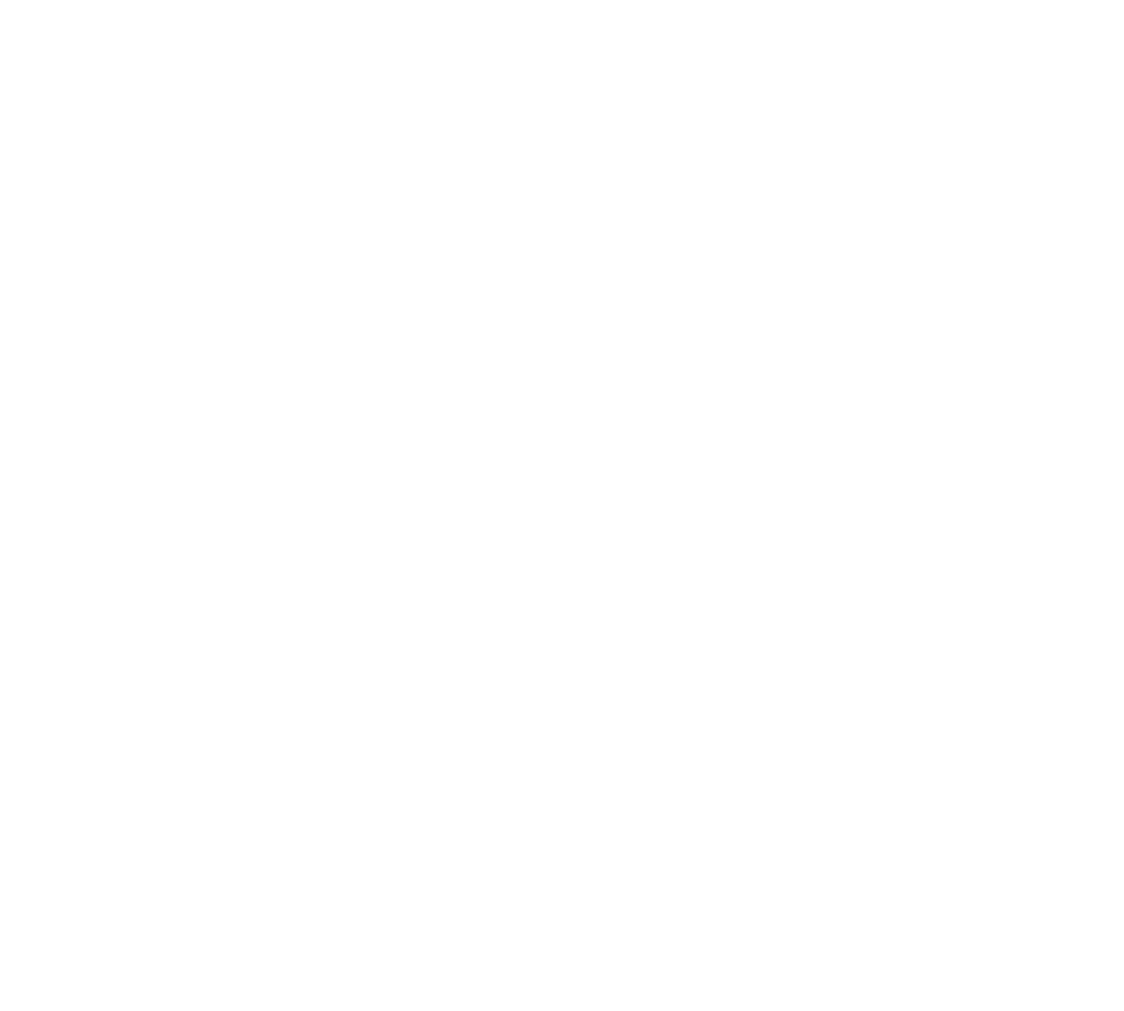 FEI Systems
